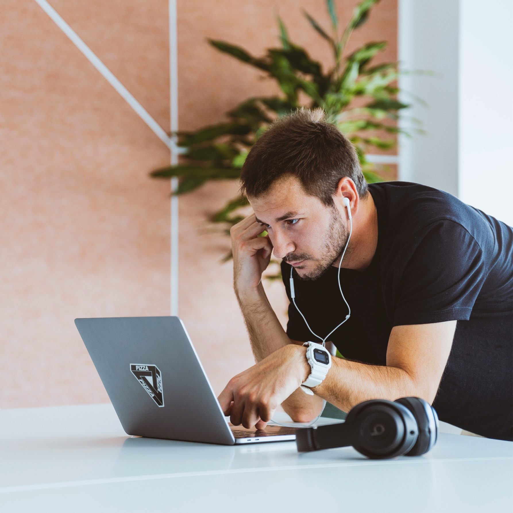 Bornfight - Studio Size