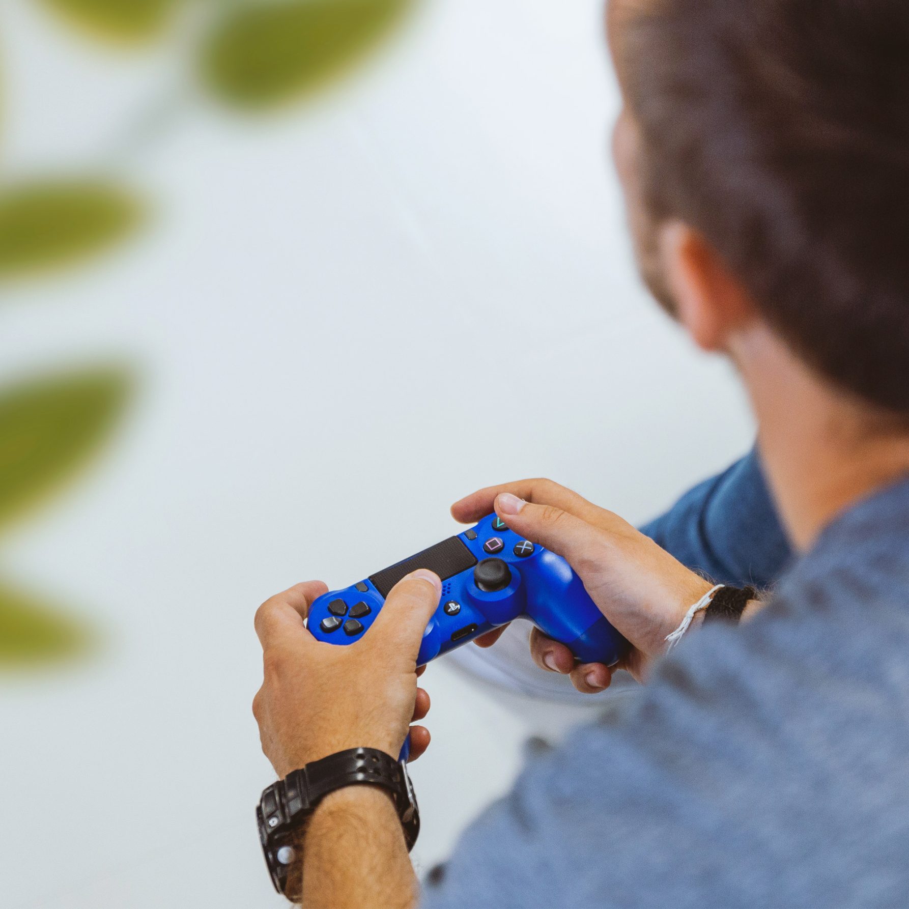 Bornfight - Studio Size