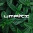 Umaki - Studio Size